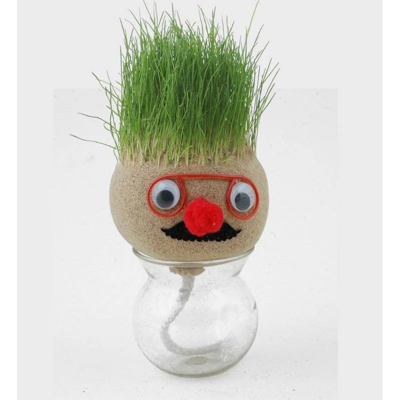 Grow Grass Head, Grow A Head-Excellent Gift,100% imported-On 50% Off Rate